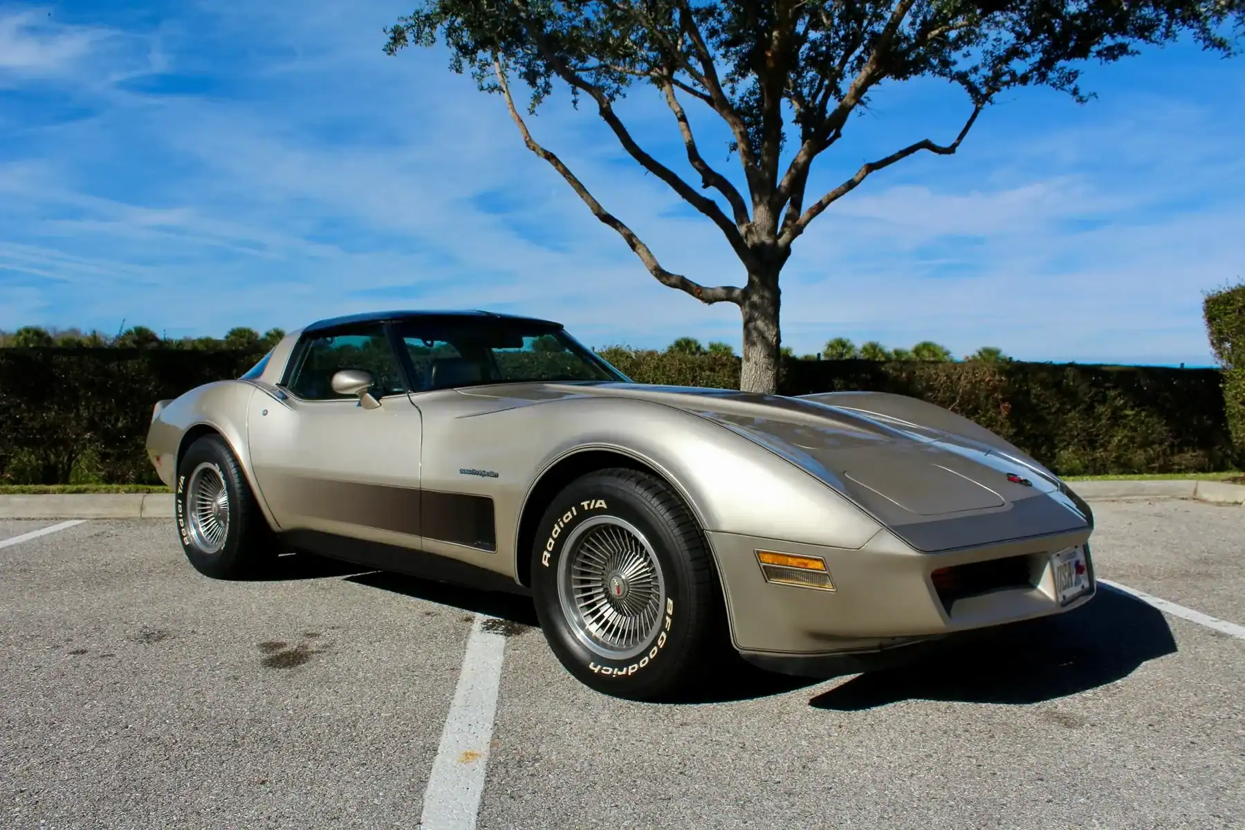 1997 Pontiac Firebird SLP Trans Am - Comp T/A - 1 Of 4 - 27K Miles ...