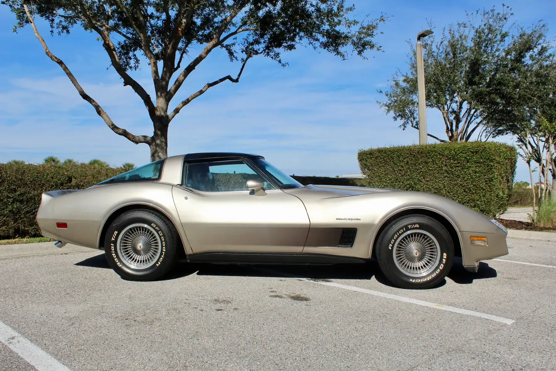 1997 Pontiac Firebird SLP Trans Am - Comp T/A - 1 Of 4 - 27K Miles ...