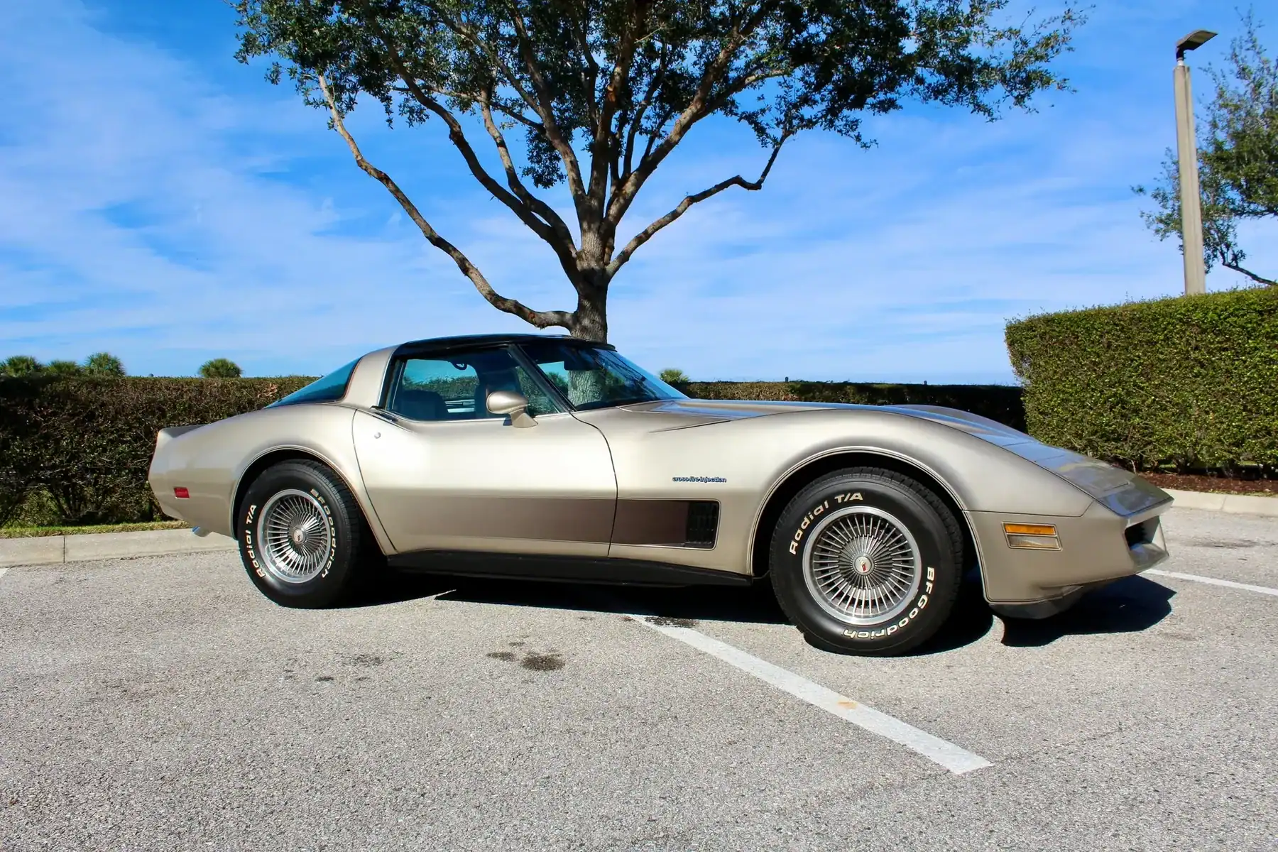 1997 Pontiac Firebird SLP Trans Am - Comp T/A - 1 Of 4 - 27K Miles ...
