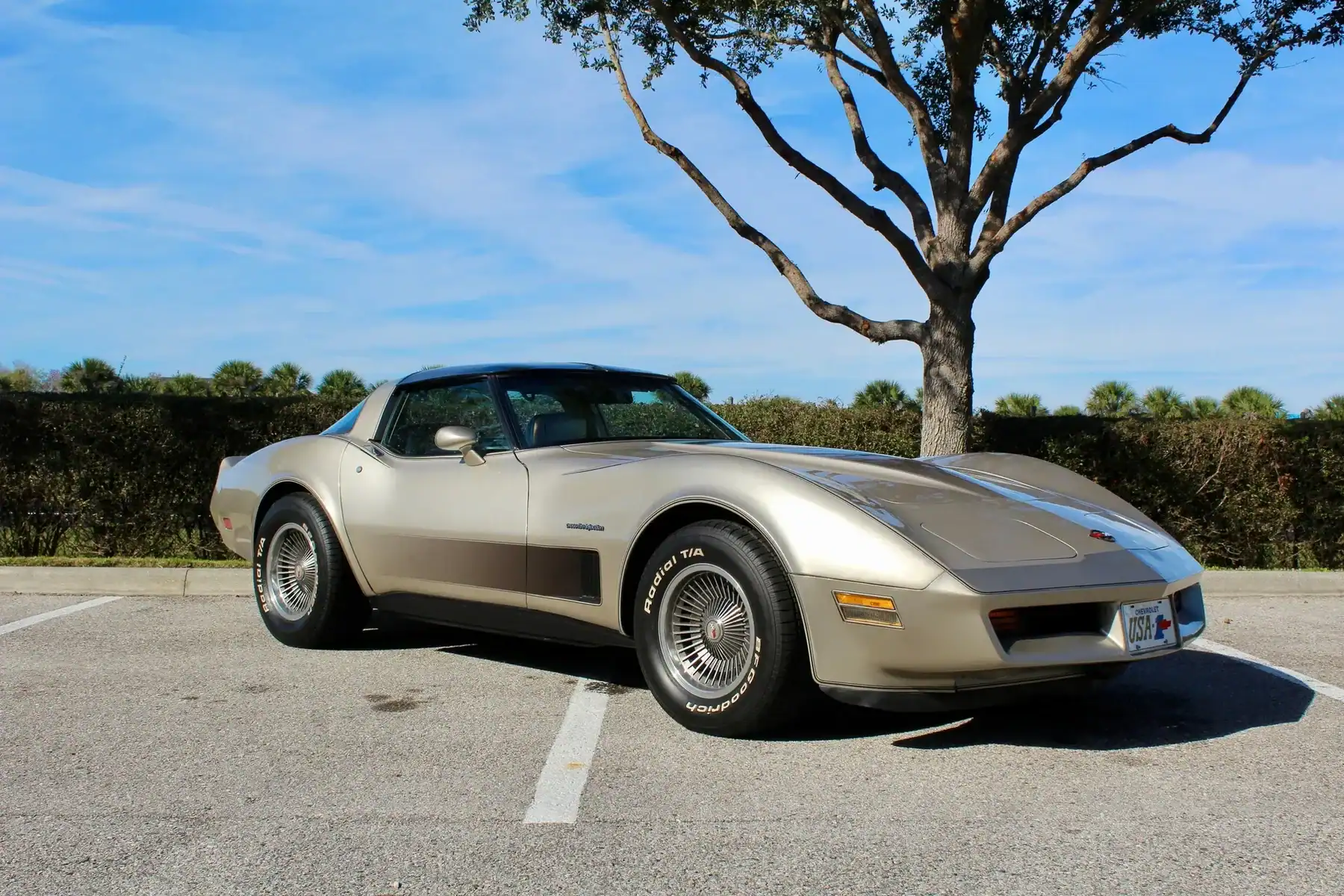 1997 Pontiac Firebird SLP Trans Am - Comp T/A - 1 Of 4 - 27K Miles ...